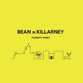 Bean in Dingle Coffee Roasters | Online Coffee Store – BEAN IN DINGLE